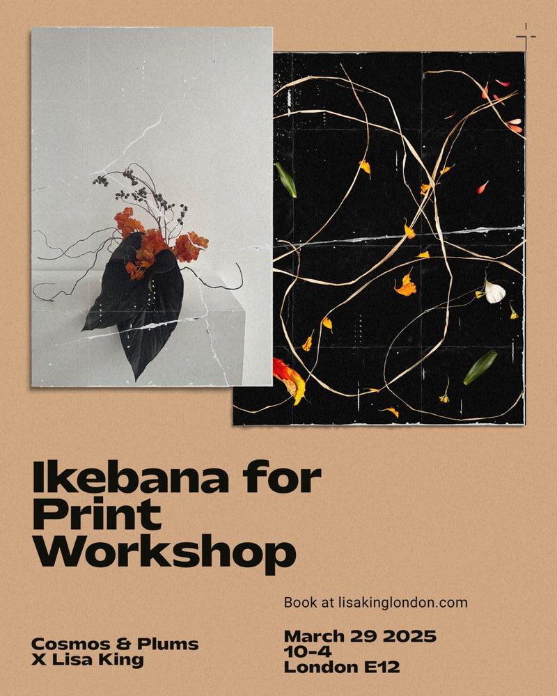 Luxury products by print artist and designer Lisa King.